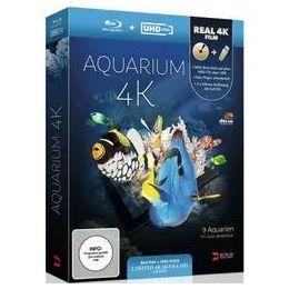 Aquarium 4K [LE] (+ UHD Stick in Real 4K)
