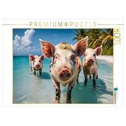 Calvendo Puzzle Rosa Borstentiere erkunden die traumhafte Bucht 1000 Teile Lege-Gr&ouml;&szlig;e 64x48cm Foto-Puzzle f&uuml;r gl&uuml;ckliche Stunden