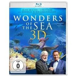 PLAION Wonders of the Sea (inkl. Blu-ray 2D)