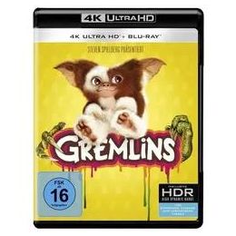 Gremlins 1 - Kleine Monster (4K Ultra HD) (+ Blu-ray 2D)