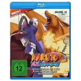 Naruto Shippuden - Staffel 12 - Box 1 - Uncut [2 BRs]