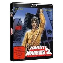 Karate Warrior 2