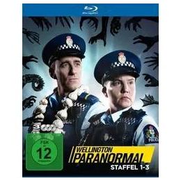 Wellington Paranormal - Staffel 1-3 [3 BRs]