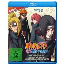 Naruto Shippuden - Staffel 14 - Box 1 - Uncut [2 BRs]