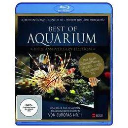 Best of Aquarium