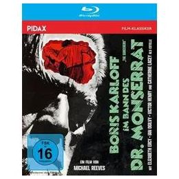 Im Banne des Dr. Monserrat (The Sorcerers) / Preisgekr&ouml;nter Science-Fiction-Grusel mit Horrorfilm-Ikone Boris Karloff (Pidax Film-Klassiker)