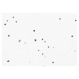 Rico Design Bastelbogen 50 x 70 cm, Baumwollpapier mit Rosenbl&uuml;ten