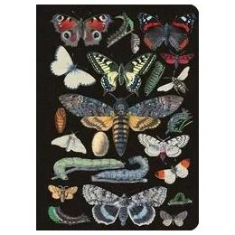 Vintage Butterflies Journal / Notebook / Diary - Lined Pages