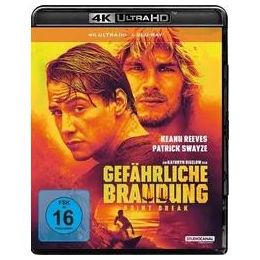 Studiocanal Gef&auml;hrliche Brandung (4K-UHD+Blu-ray)