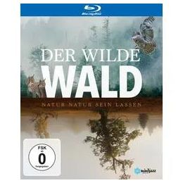 Der Wilde Wald - Natur Natur sein lassen