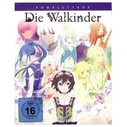 Die Walkinder - Komplettbox [2 BRs]