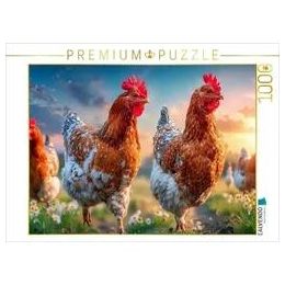 Calvendo Puzzle Hier gackern fr&ouml;hliche H&uuml;hner um die Wette 1000 Teile Lege-Gr&ouml;&szlig;e 64x48cm Foto-Puzzle f&uuml;r gl&uuml;ckliche Stunden