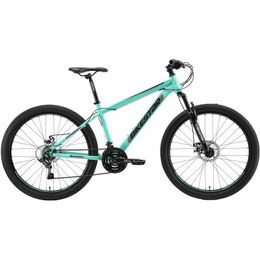 Bikestar Mountainbike 21 Gang Shimano RD-TY300 Schaltwerk Kettenschaltung f&uuml;r Damen und Herren, Kettenschaltung gr&uuml;n Mountainbike