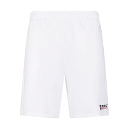 Karl Kani Herren Shorts &raquo; Herren Sports Shadow Stripe Shorts&laquo; L, US-Gr&ouml;&szlig;en