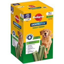 Pedigree DentaStix Daily Fresh f&uuml;r Gro&szlig;e Hunde 21 St&uuml;ck