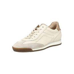 Gabor Sneaker in Wei&szlig;/Beige | Gr.: 36