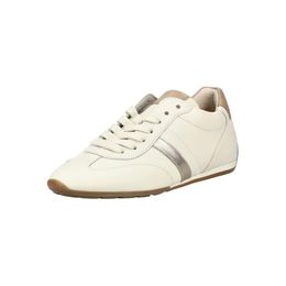 Gabor Sneaker in Puder | Gr.: 44