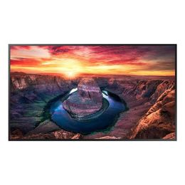 Bildschirm 43" LCD 4K UHD Samsung LH43QMBEPGCXEN
