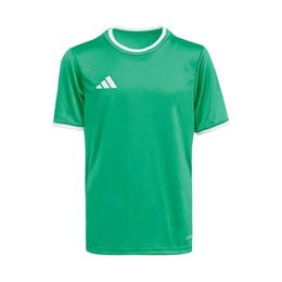 adidas Performance Performance Shirt 'ENT26' boy Green size 152