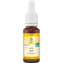 HAGER PHARMA Bachbl&uuml;ten No.11 Elm Bio 20 ml