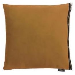 Dekokissen Apelt "TASSILO" Gr. 1, braun (braun, unifarben), B:45cm L:45cm, Polyester, Dekokissen_Sitzkissen_Kissenh&uuml;llen, Uni, Samt, Kissenh&uuml;lle mit F&uuml;llung, 1 St&uuml;ck