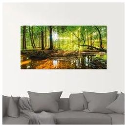 Glasbild Artland "Wald mit Bach", gr&uuml;n (farbe bild(er): gr&uuml;n), B:125cm H:50cm, Bilder, in verschiedenen Gr&ouml;&szlig;en