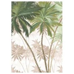 Vliestapete Komar "Digitaldruck Vlies - Palmera - Gr&ouml;&szlig;e 200 x 280 cm", gr&uuml;n (gr&uuml;n, braun), B:200m L:280m, Vlies, Tapeten, Wohnzimmer, Schlafzimmer