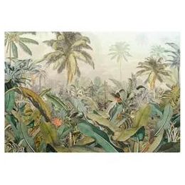 Vliestapete Komar "Vlies - Amazonia - Gr&ouml;&szlig;e 368 x 248 cm", blau, B:368m L:248m, Vlies, Tapeten, Wohnzimmer, Schlafzimmer
