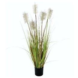 Kunstgras I.GE.A. "Pampasgras", beige (natur), B:28cm H:90cm, Obermaterial: 80% Kunststoff, 20% Polyester, Kunstpflanzen, im Kunststofftopf