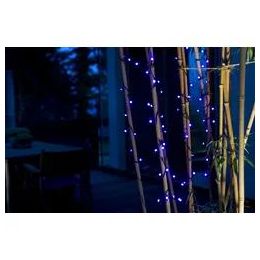 Konstsmide LED-Lichterkette "Weihnachtsdeko aussen", schwarz, Dioden 80 Stk. Flammen 80 Stk., Kabell&auml;nge 5m x Gesamtl&auml;nge 11,32m, Lichterketten, LED Globelichterkette, runde Dioden, 80 purpurfarbene Dioden