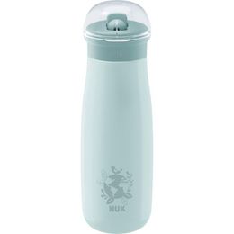Nuk Trinkhalmflasche Edelstahl Mini-Me mint, 500ml