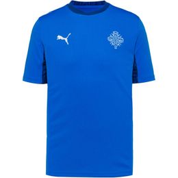 Puma WM 2026 Island Heim Teamtrikot Herren - Gr&ouml;&szlig;e M - blau