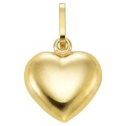 Kettenanh&auml;nger Firetti "Schmuck Geschenk Gold 333 Halsschmuck Anh&auml;nger f&uuml;r Halskette Herz", gold (gelbgoldfarben), Schmuckanh&auml;nger, Damen, Gelbgold 333, 0,4 g, Kettenanh&auml;nger