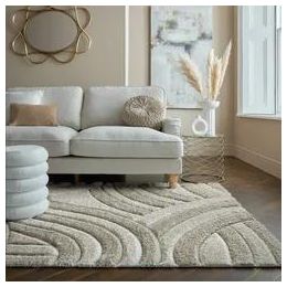 Hochflor-Teppich FLAIR RUGS "Velvet Shaggy", beige (natur), B:200cm H:25mm L:290cm, Kunstfaser, Teppiche, Shaggy Teppich