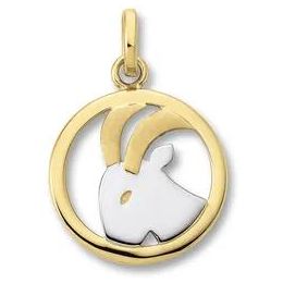 Sternzeichenanh&auml;nger ONE ELEMENT "Steinbock Sternzeichen Anh&auml;nger aus 333 Gelbgold", gold, Schmuckanh&auml;nger, Damen, Steinbock, Gelbgold 333 Gold, Gelbgold 333, Gold, Symbol mit Herz &ndash; ein feines Geschenk f&uuml;r viele Anl&auml;sse
