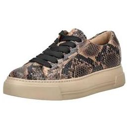Sneaker Paul Green "Paul Green Sneaker Glattleder", Damen, Gr. 40,5, braun, Glattleder, Schuhe Sneaker