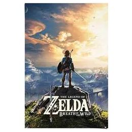 Poster Reinders "The Legend Of Zelda - breath of the wild", blau (farbe bild(er): blau), B:61cm H:91,5cm T:0,1cm, Papier, Bilder, Poster