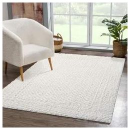 Hochflor-Teppich Carpet City "FOCUS627", beige (creme), B:80cm H:20mm L:150cm, Obermaterial: 100% Polypropylen, Teppiche, Boho-Teppich, Hochtief-Muster/ 3D-Effekt, f&uuml;r Wohnzimmer, Schlafzimmer