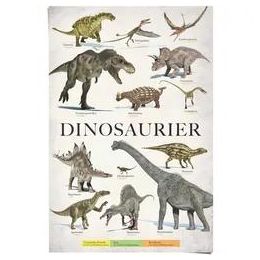Poster Reinders "Dinosaurier", gr&uuml;n (farbe bild(er): gr&uuml;n), B:61cm H:91,5cm, Papier, Bilder, Poster