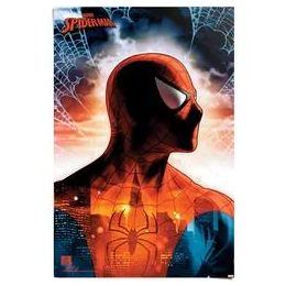 Poster Reinders "Spiderman - protector of the city", rot (farbe bild(er): rot), B:61cm H:91,5cm T:0,1cm, Papier, Bilder, Poster