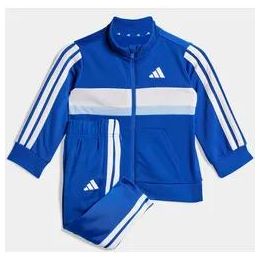 Trainingsanzug Adidas SPORTSWEAR "SEASONAL ESSENTIALS TIBERIO 3-STREIFEN TRICOT KIDS", M&auml;dchen, Gr. 62, blau (royal blau, glow blau, wei&szlig;), Obermaterial: 100% Polyester, Sportanz&uuml;ge Trainingsanzug
