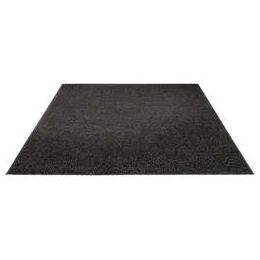 Hochflor-Teppich Esprit "Campus 2.0, ESP-0030", grau (anthrazit), B:40cm H:25mm L:60cm, Polypropylen (PP), Teppiche, Shaggy, Langflor, weich, Wohnzimmer