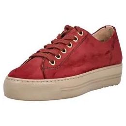 Sneaker Paul Green "Paul Green Sneaker Nubukleder", Damen, Gr. 38, rot (wine), Nubukleder, Schuhe Sneaker