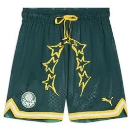 Sporthose Puma "Puma HOOPS x SE PALMEIRAS Basketballshorts Herren", Damen, Gr. M, Normalgr&ouml;&szlig;en, malachite jade gr&uuml;n aop, Innenmaterial: 100% Polyester; Au&szlig;enseite: 100% Polyester; Taschenfutter: 100% Polyester, regular fit, Hosen Sporthose