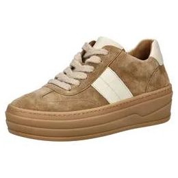 Plateausneaker Gabor "Gabor Sneaker Veloursleder", Damen, Gr. 40, braun (braun, beige), Veloursleder, Schuhe Plateausneaker