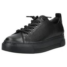 Sneaker Paul Green "Paul Green Sneaker Leder", Damen, Gr. 40,5, schwarz, Leder, Schuhe Sneaker