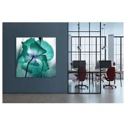 XXL-Wandbild queence "Akustikbild Bl&uuml;te in T&uuml;rkis", farbe bild(er): gr&uuml;n, B:120cm H:120cm T:2,5cm, Polyester, Bilder, Einfache Akustikl&ouml;sung ohne Bauma&szlig;nahme, Schalld&auml;mmung, Paneele