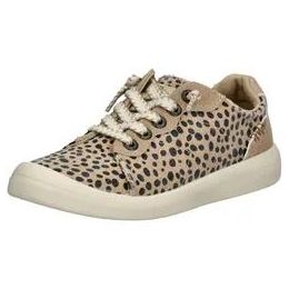 Sneaker Blowfish "Blowfish Sneaker Textil", Damen, Gr. 37, schwarz (beige, schwarz), Textil, Schuhe Sneaker