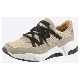 Sneaker Heine, Damen, Gr. 42, taupe, schwarz, Leder, Rindsleder, Schuhe Sneaker