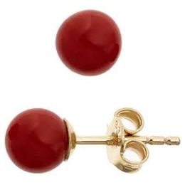 Paar Ohrstecker Jobo "Kugel Ohrringe 6 mm rot", rot, Ohrringe, Damen, 5,8mm, Gelbgold 333, 333 Gold mit Koralle